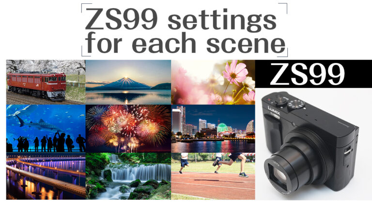 Panasonic LUMIX ZS99 8 Basic Settings to Remember - joy-camera